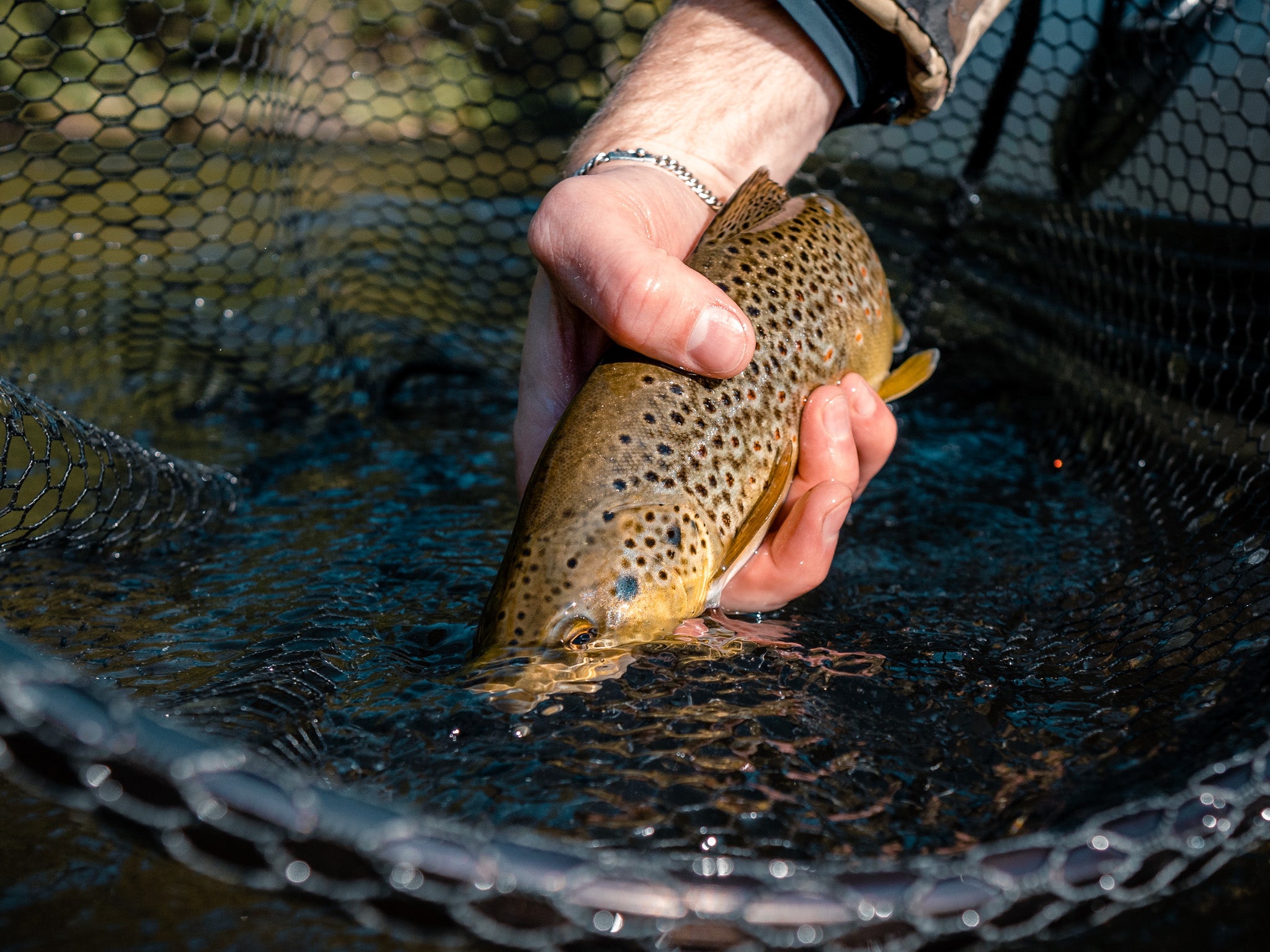5/26/23 Fishing Report – The Northern Angler Fly Shop
