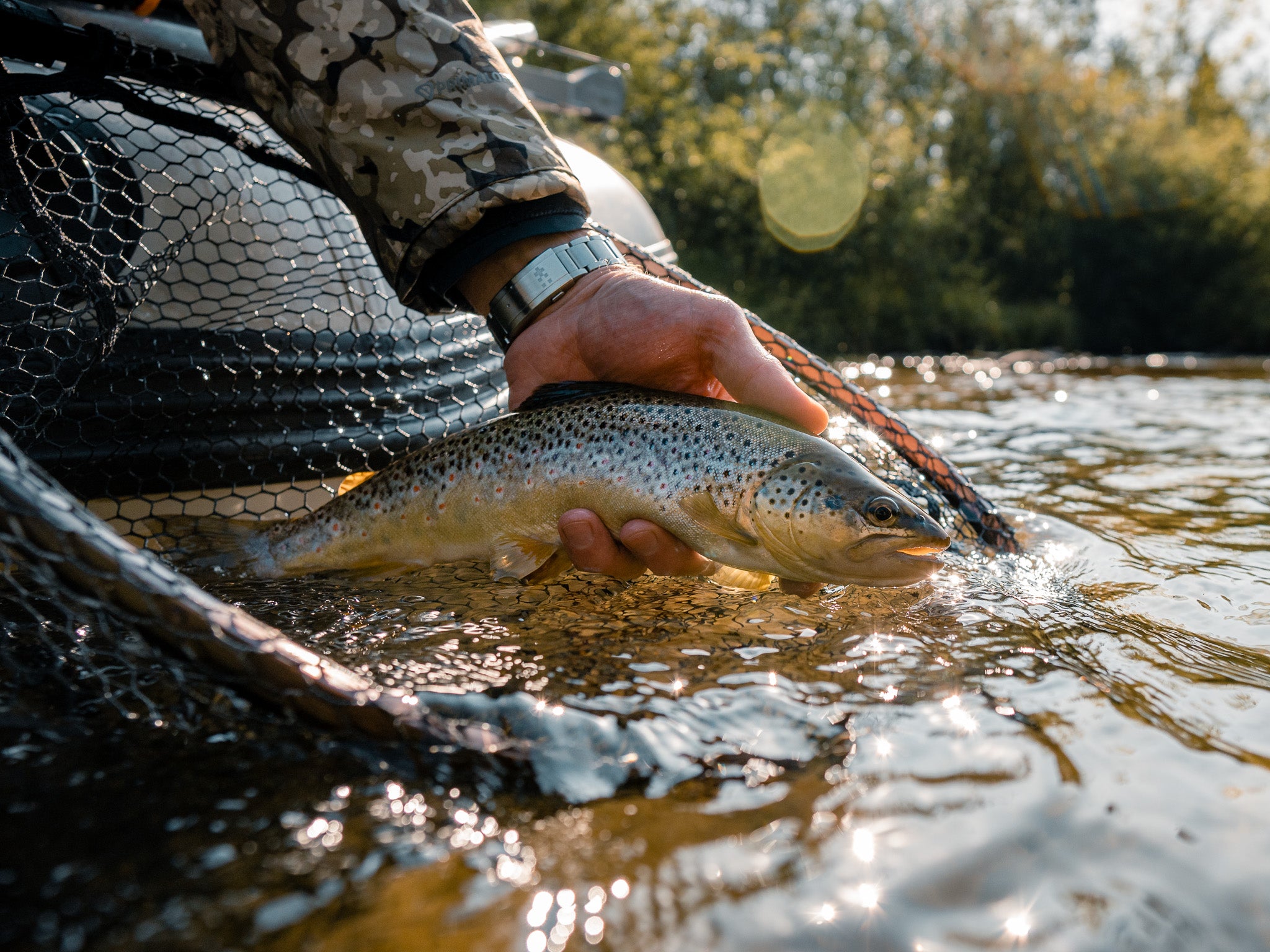 6/2/23 Fishing Report – The Northern Angler Fly Shop