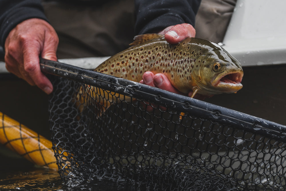 Fishing Report 5/1/21 – The Northern Angler Fly Shop