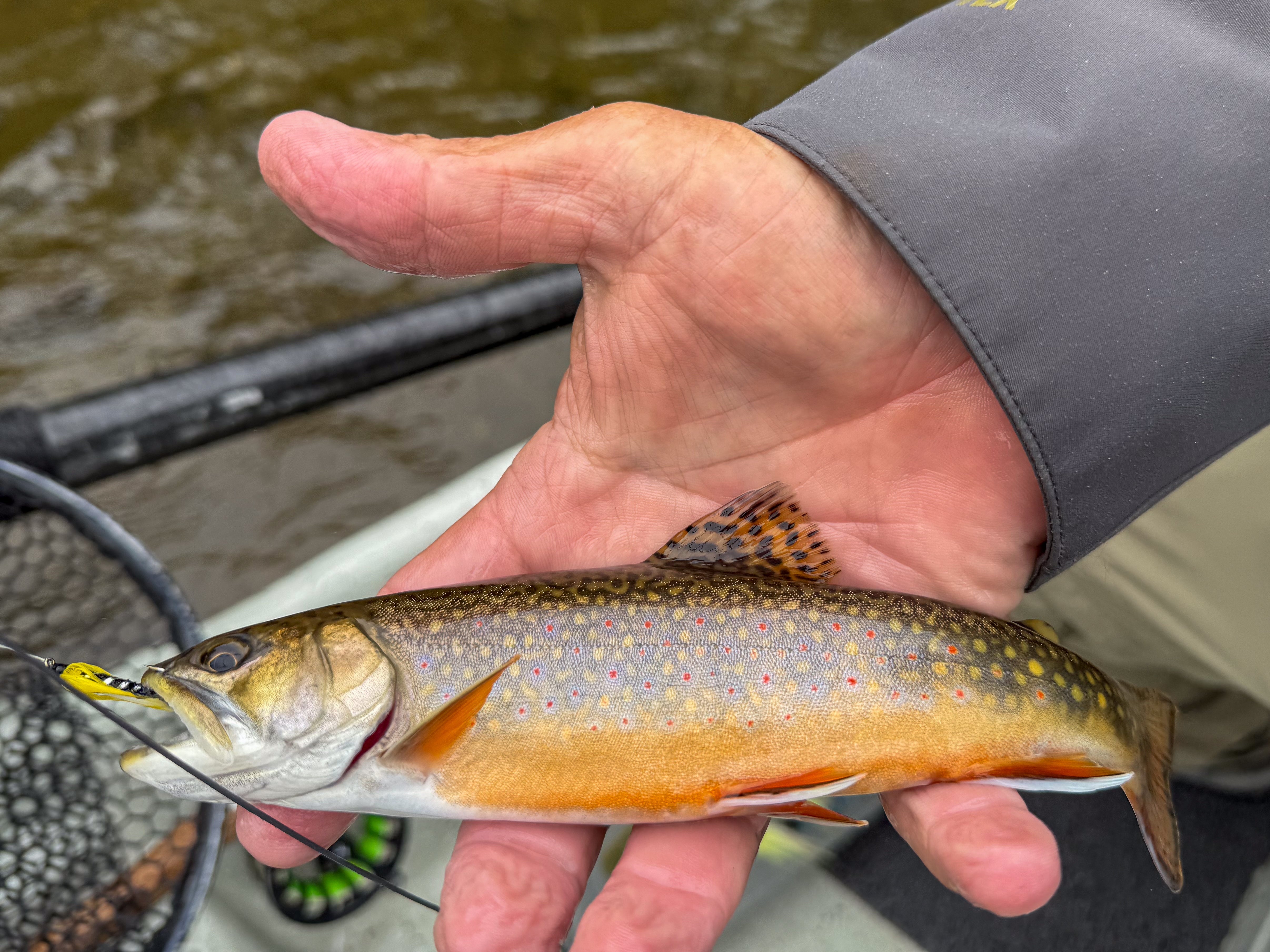 Fishing Report 8/22/25 – The Northern Angler Fly Shop