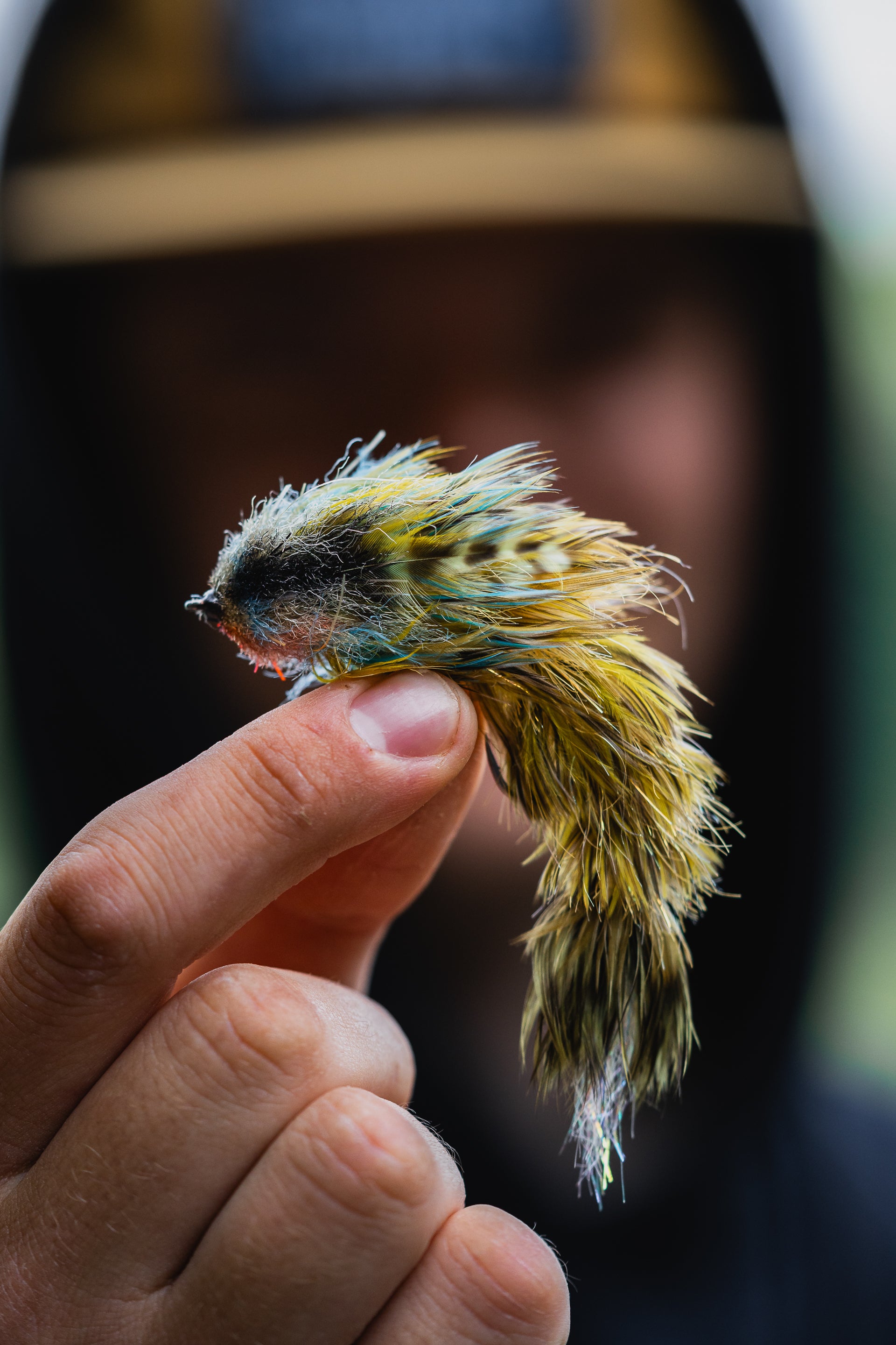 The Northern Angler | Northern Michigan Fly Fishing – The Northern ...